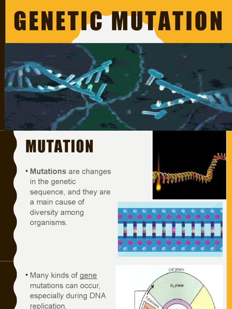 Understanding Genetic Mutations and Effects | PDF | Mutation | Gene