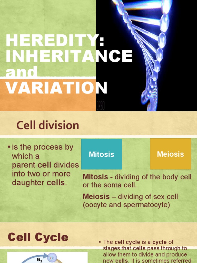 Heredity: Inheritance and Variation | PDF | Dna | Cell (Biology)