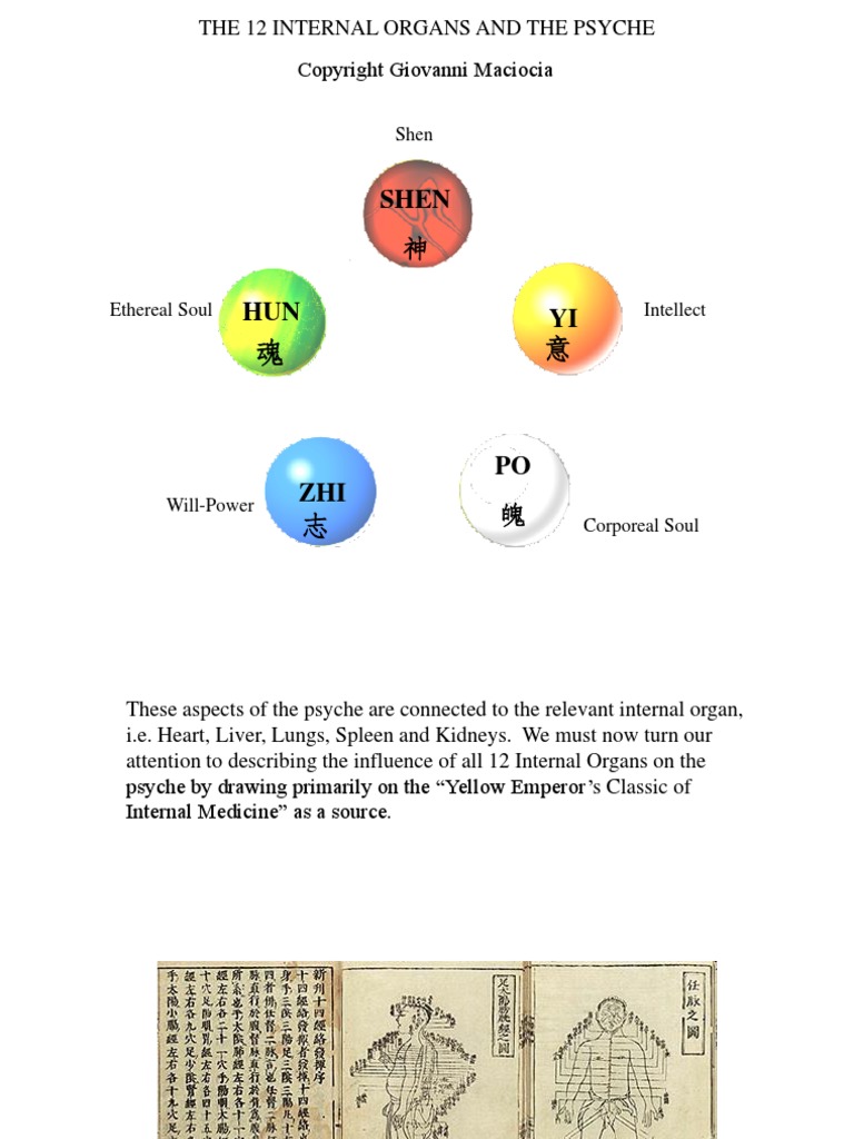 Zang Fu The 12 Internal Organs and The Psyche | PDF | Confucianism ...