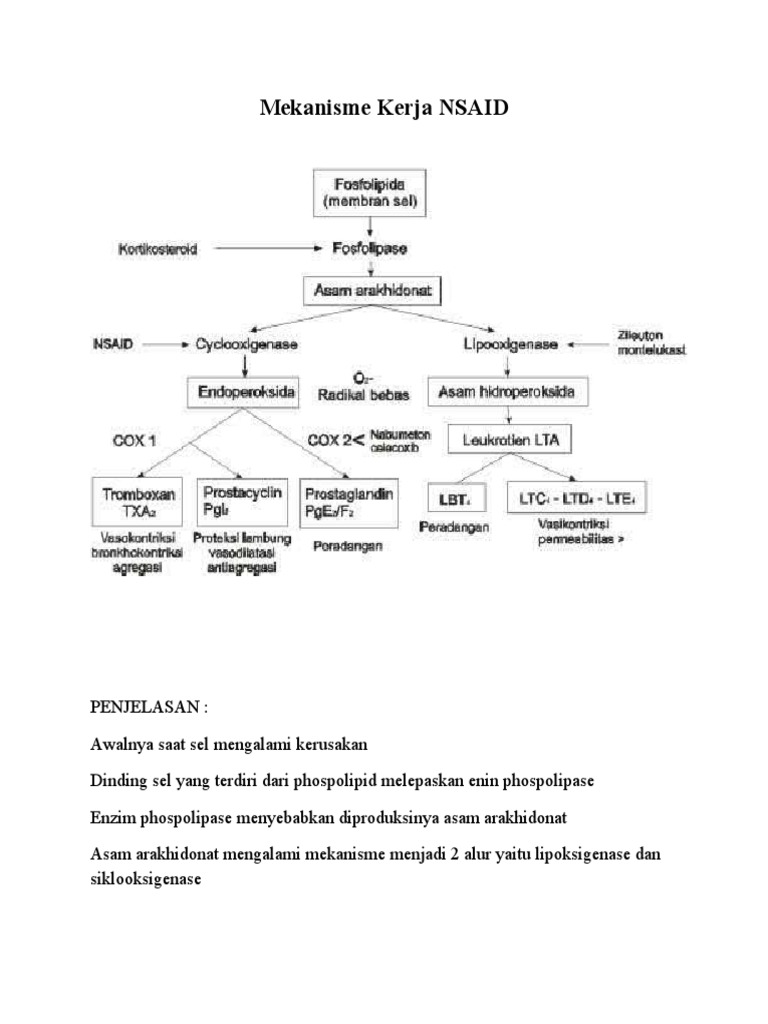 Mekanisme Kerja NSAID. Selviana | PDF