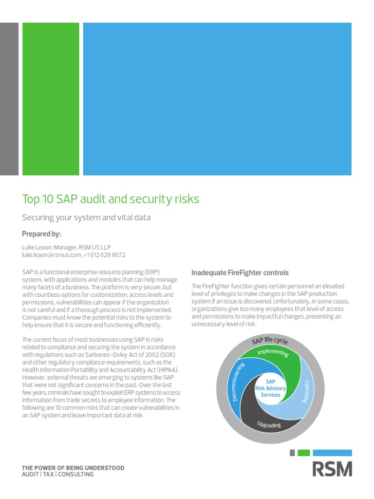Top 10 SAP Audit and Security Risks: Securing Your System and Vital ...