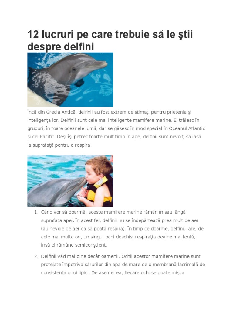 12 Lucruri Despre Delfini | PDF