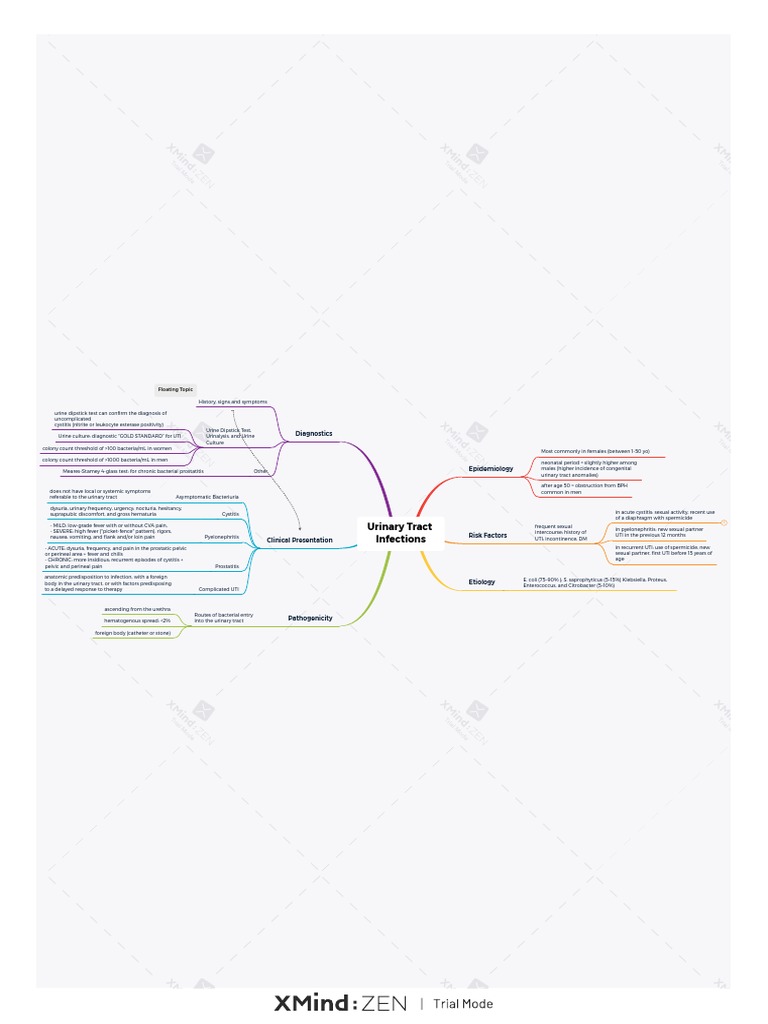(Concept Map) Urinary Tract Infections | PDF | Urinary Tract Infection ...