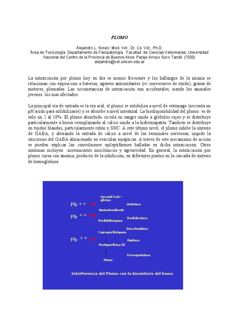 Intoxicación por Plomo en Animales | PDF | Dirigir | Ácido ...