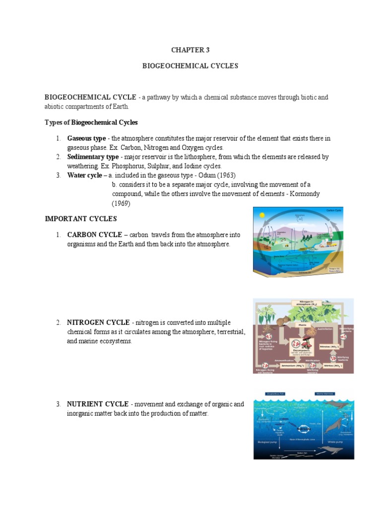 Biogeochemical Cycles: Abiotic Compartments of Earth | PDF | Rock ...