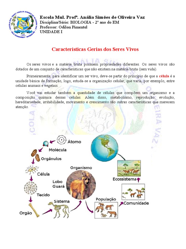 Caracteristicas Gerais Dos Seres Vivos - I Unidade | PDF | Organismos ...
