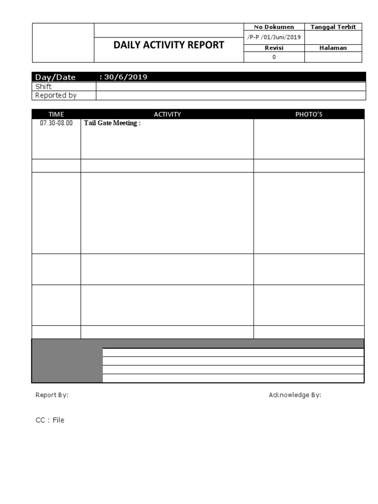Daily Act Report HSE | PDF