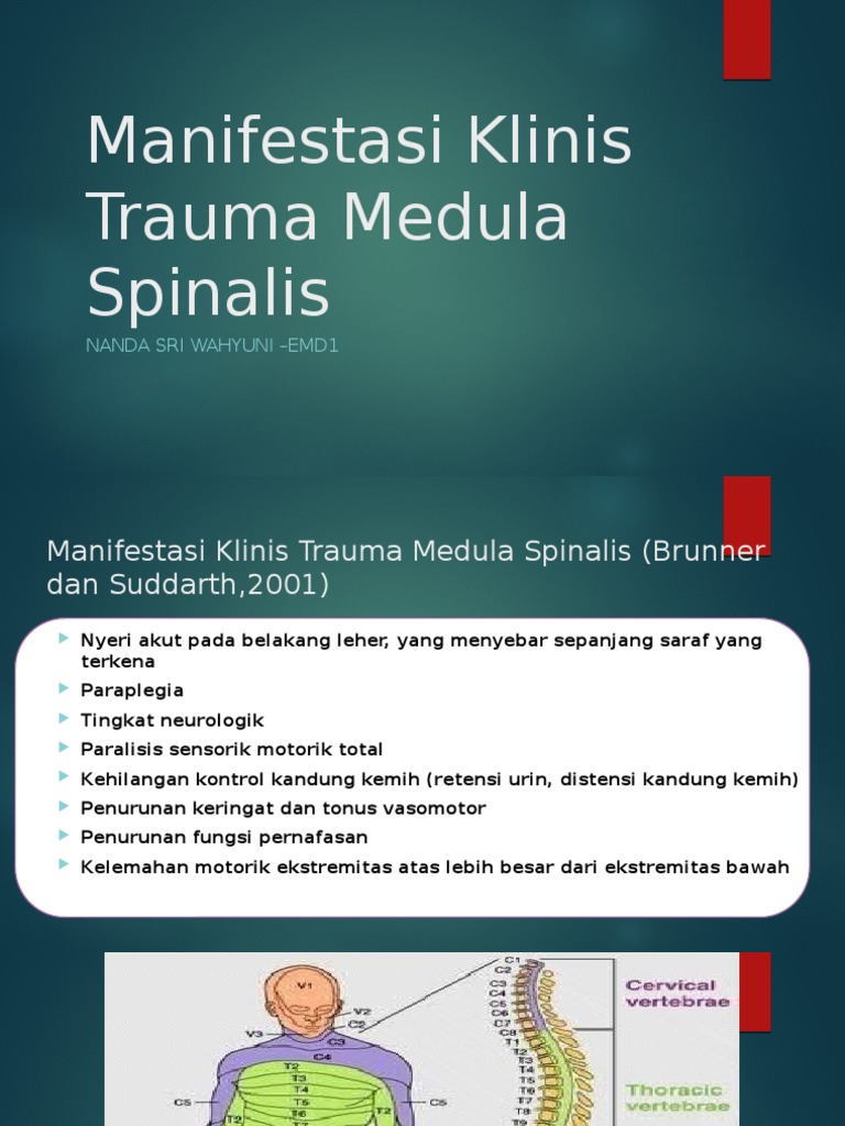 Manifestasi Klinis Trauma Medula Spinalis Emd 1 | PDF