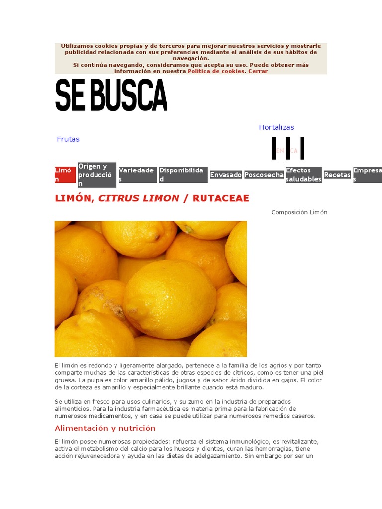Características y propiedades del limón | PDF | Limón | Fruta lima)