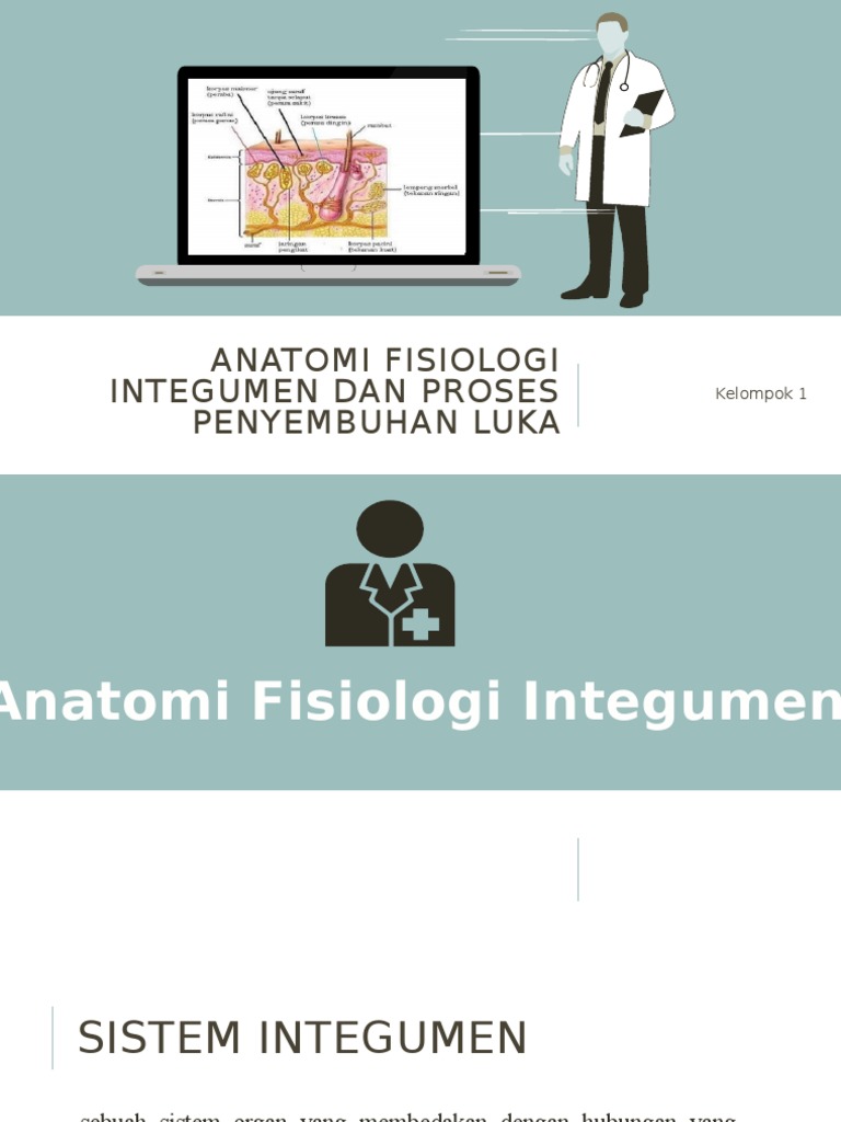 Anatomi Fisiologi Integumen Dan Proses Penyembuhan Luka | PDF