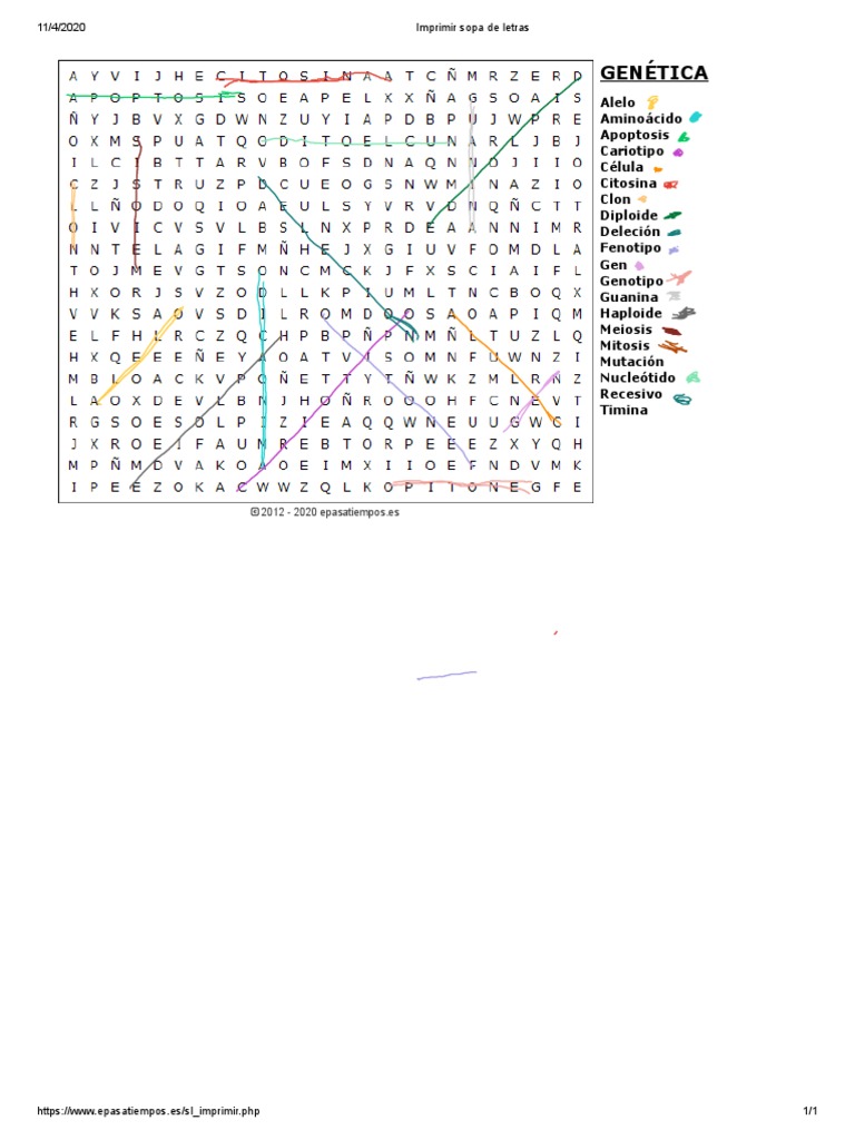 Sopa de Letras GENETICA PDF | PDF | Gene | Dominancia (Genética)
