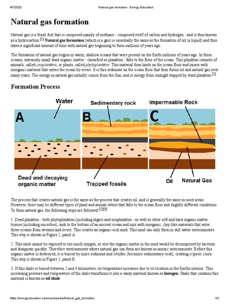 Natural Gas Formation - Energy Education PDF | PDF | Plankton | Rock ...