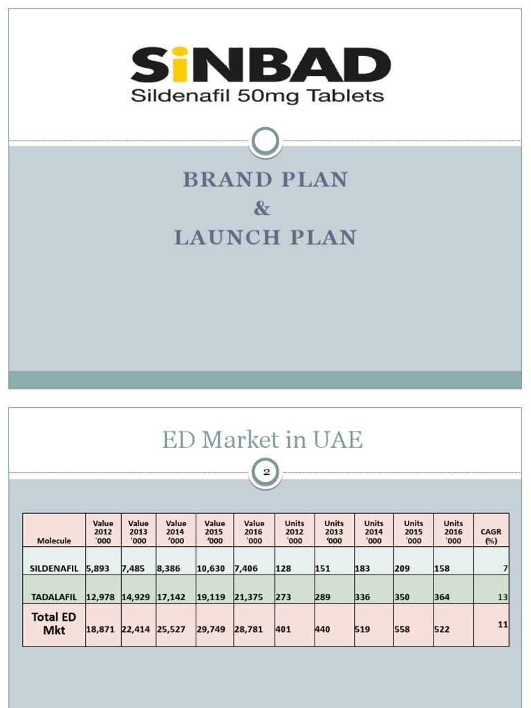 Sinbad Launch Plan - Final | PDF | Pharmacy | Drugs