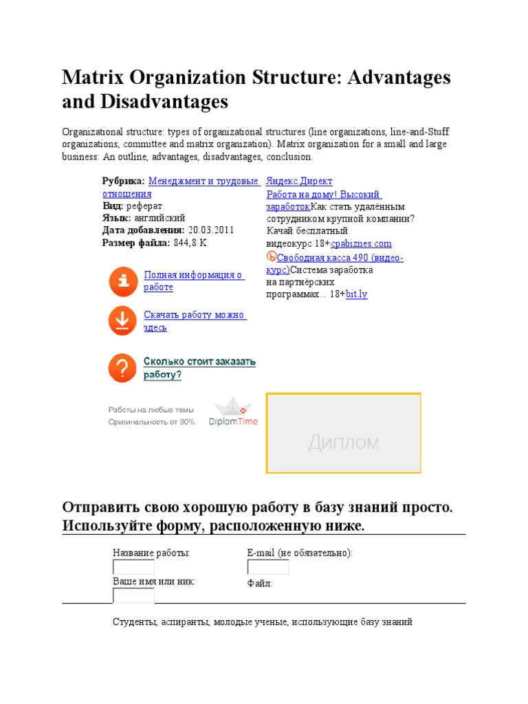 Matrix Organization Structure | PDF | Organizational Structure | Employment