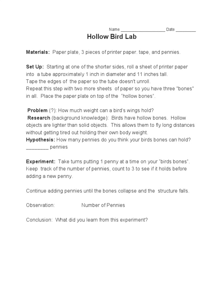Hollow Bones Experiment | PDF