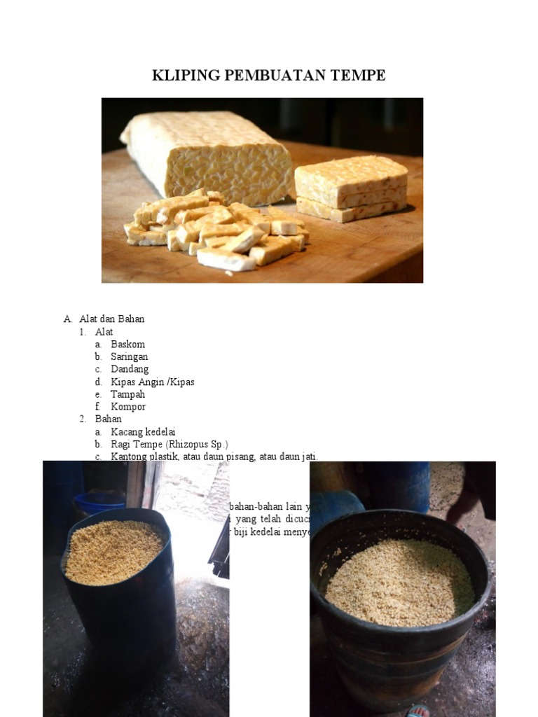 Kliping Pembuatan Tempe | PDF
