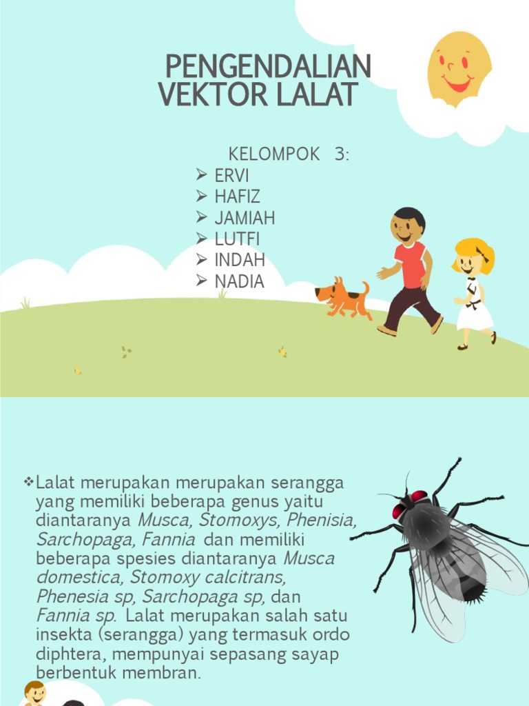 Pengendalian Lalat sebagai Vektor Penyakit | PDF | Sains & Matematika