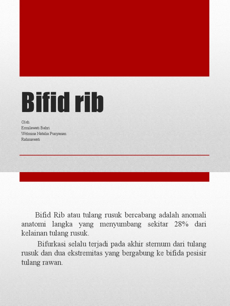 Bifid Rib | PDF