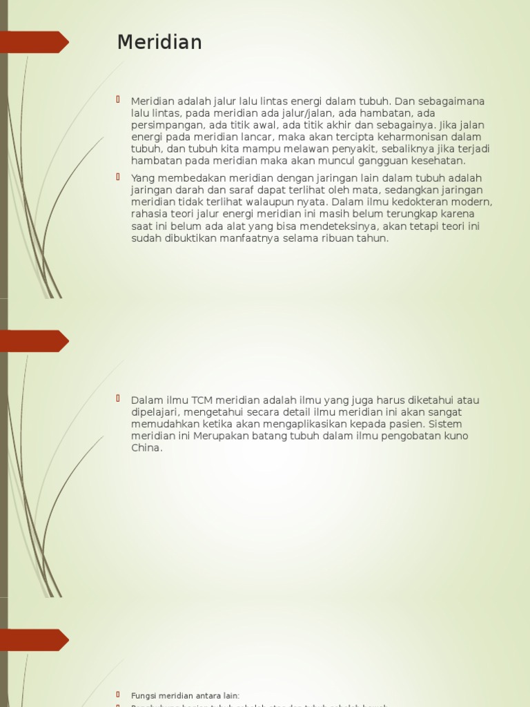 Panduan Meridian dan Akupunktur | PDF