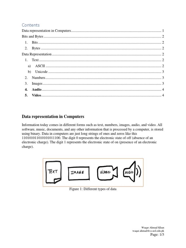 Data Representation in Computers PDF | PDF | Byte | Bit