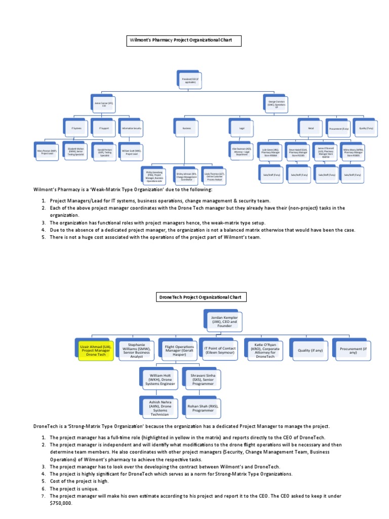 Project Organization Chart Assignment | PDF | Leadership | Economies