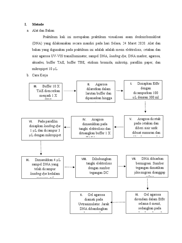 Metode Biokimia | PDF