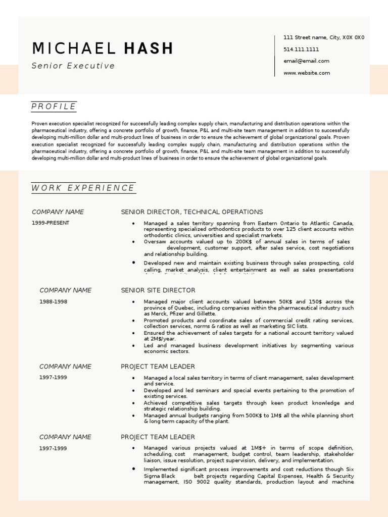 A4 - Michael Hash CV Resume Template | PDF | Lean Manufacturing | Sales