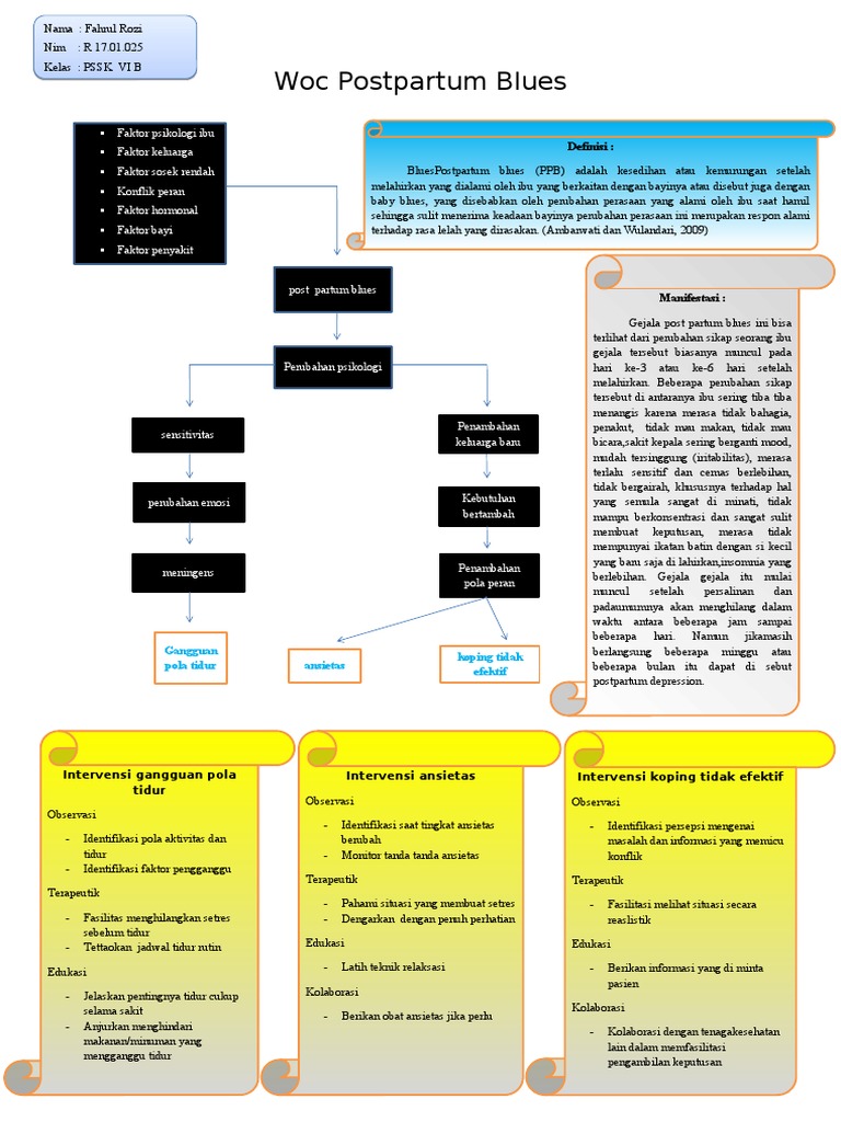 Woc Post Partum Blues | PDF