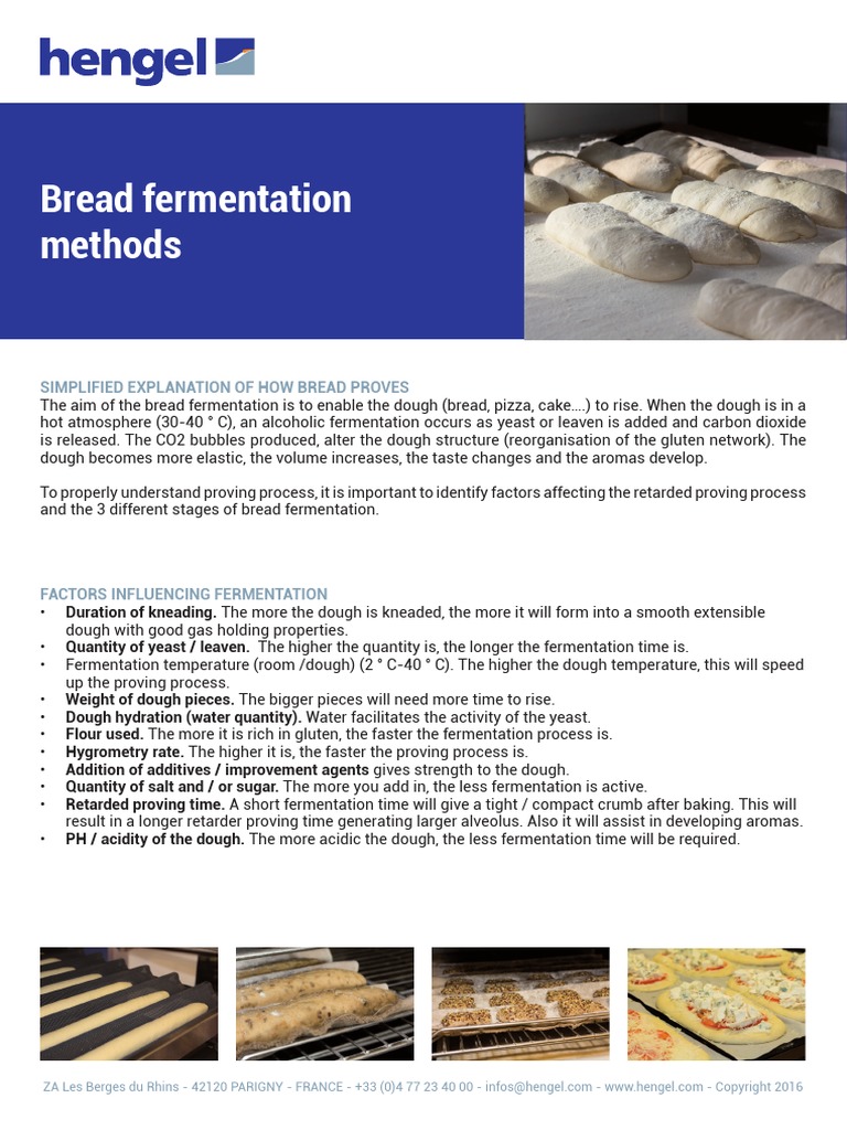 Bread Fermentation Methods: Simplified Explanation of How Bread Proves ...