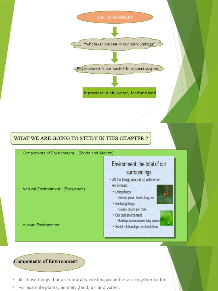 Understanding Our Environment: A Comprehensive Look at the Interactions ...
