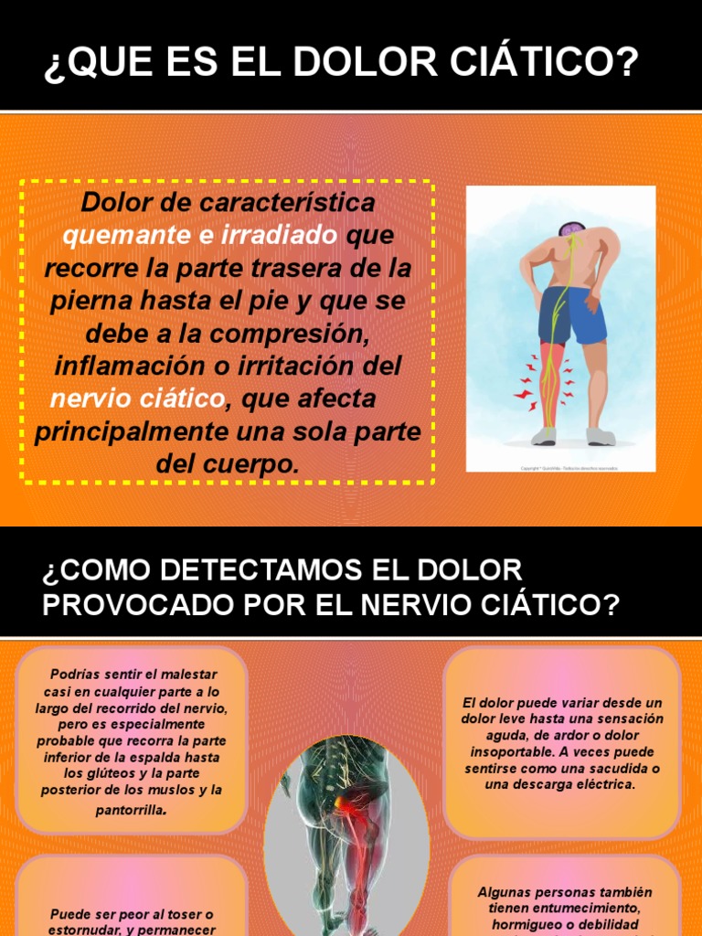 Dolor de Ciatica | Descargar gratis PDF | Sistema musculoesquelético ...