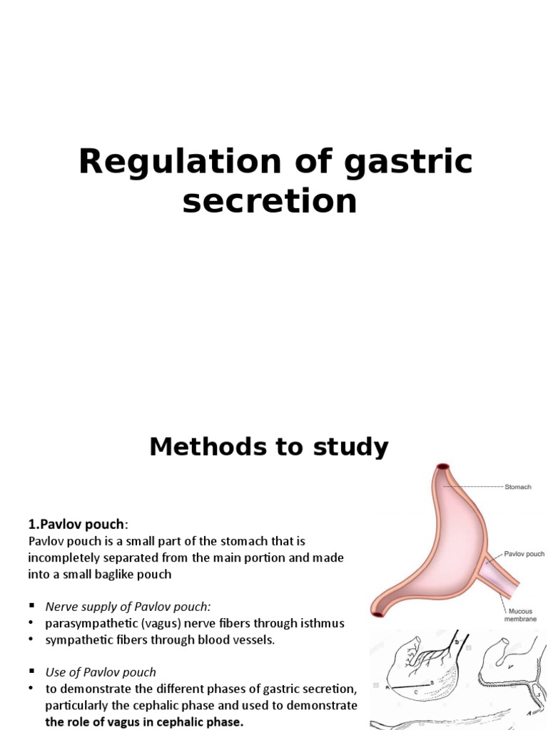 Regulation of Gastric Secretion | PDF | Stomach | Vagus Nerve