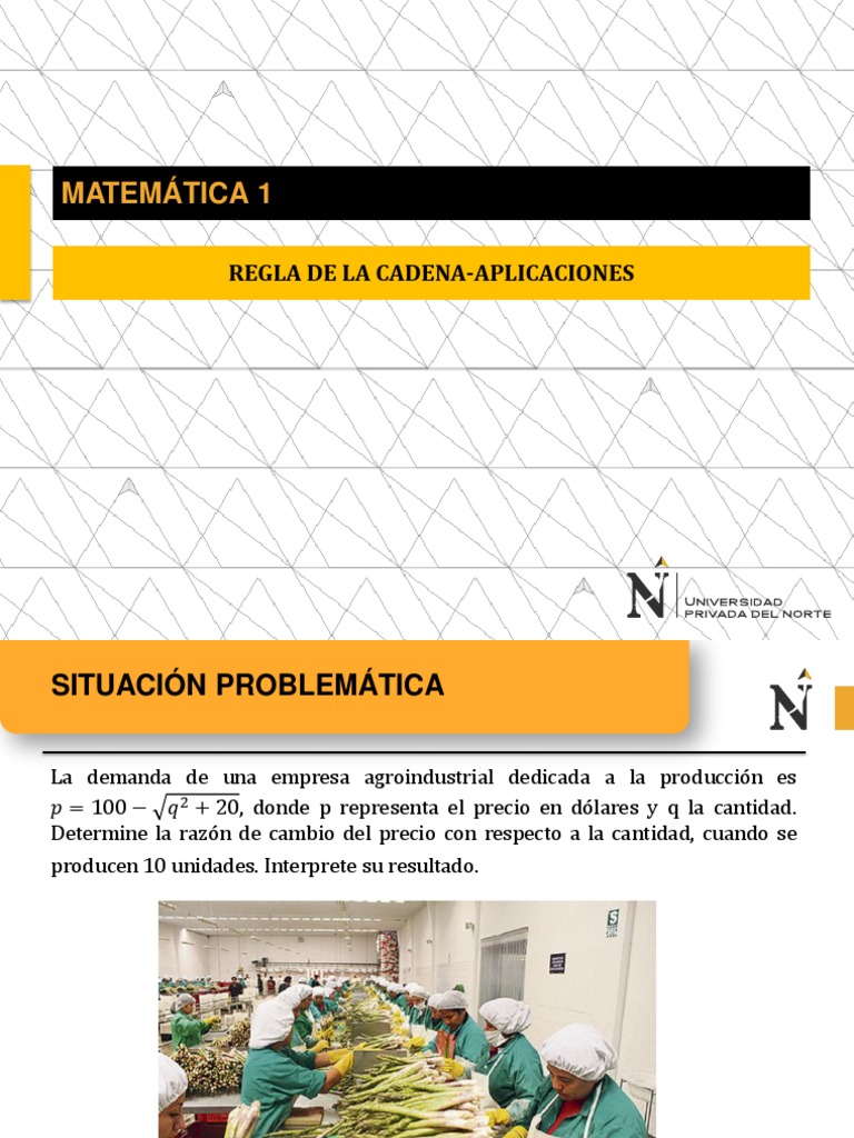 S2 PPT-Regla de La Cadena PDF | PDF | Derivado | Función (Matemáticas)