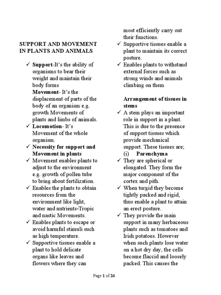 Support and Movement Notes PDF | PDF | Vertebra | Vertebral Column