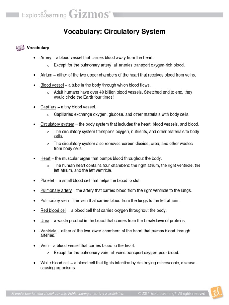 Circulatory System Vocabulary Guide | PDF | History