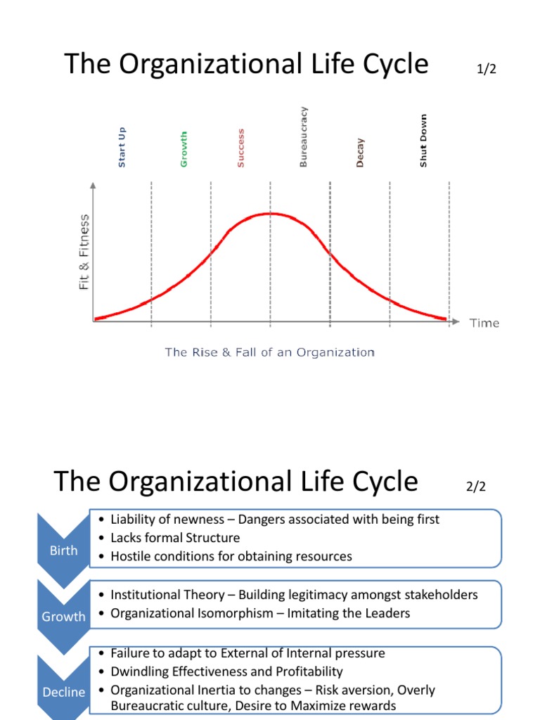 The Organizational Life Cycle | PDF