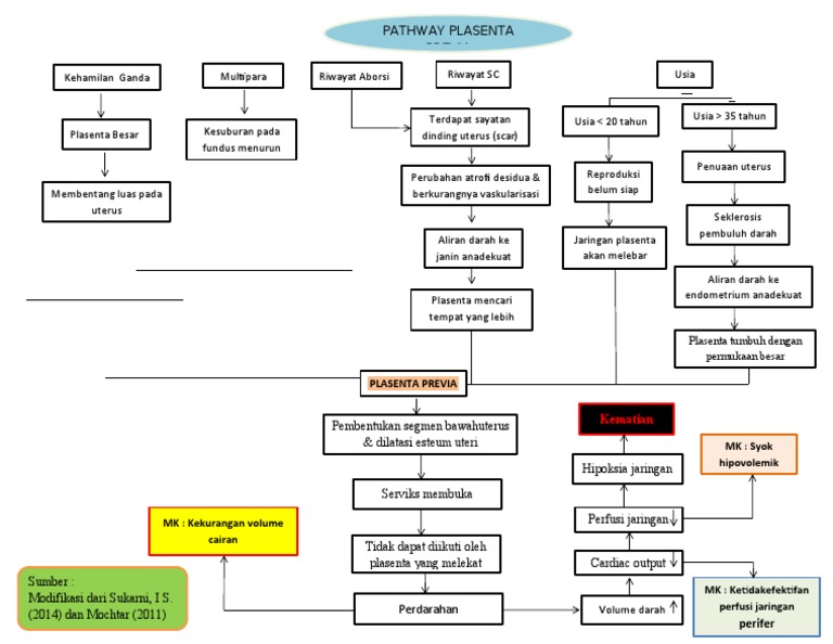 Pathway Plasenta Previa | PDF