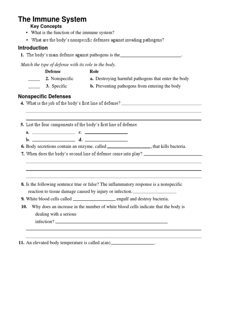 Immunity Worksheet PDF | PDF | Immune System | Infection