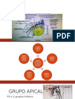 Niveles Axilares de Berg | PDF | Finanzas y dinero