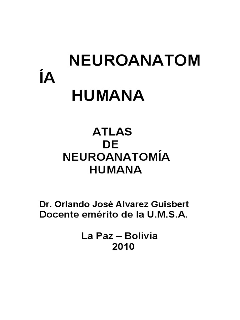 Atlas Neuro | PDF | Médula espinal | Cerebelo