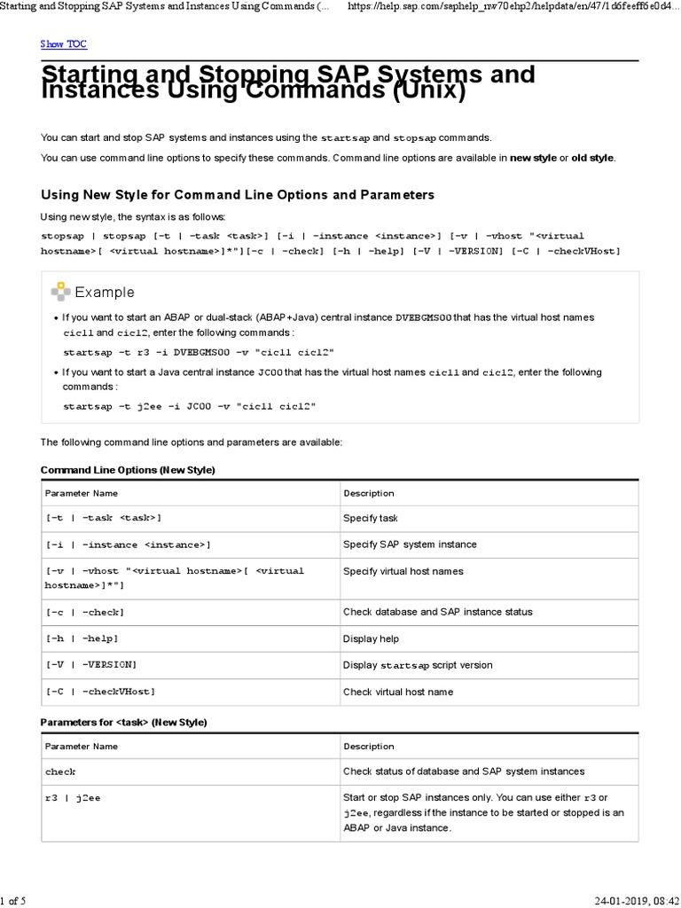 Starting and Stopping SAP Systems and Instances Using Commands (Unix) | PDF | Command Line ...