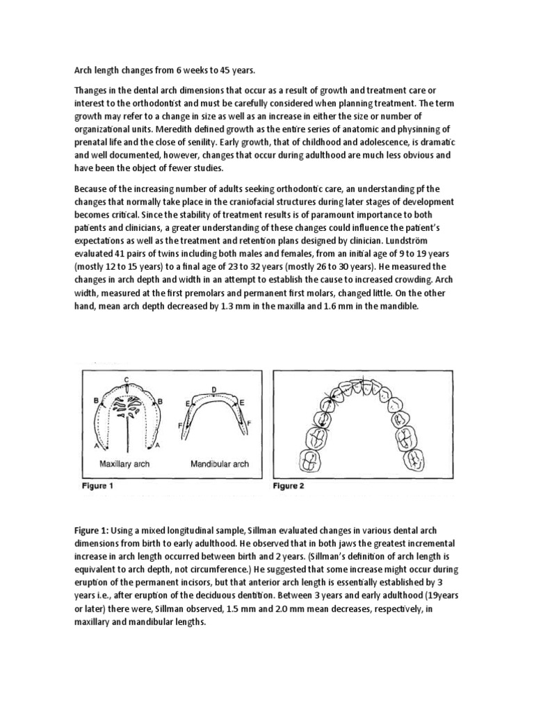 Arch Length Changes From 6 Weeks To 45 Years | PDF | Dental Anatomy ...