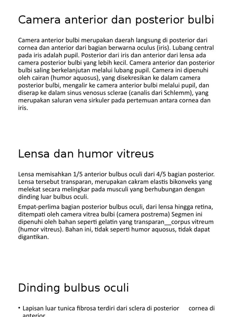 Anterior Chamber of The Eye | PDF