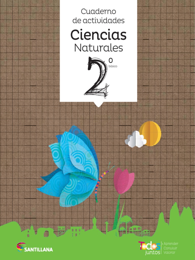 Ciencias 2° Basico | PDF | Sistema digestivo humano | Digestión