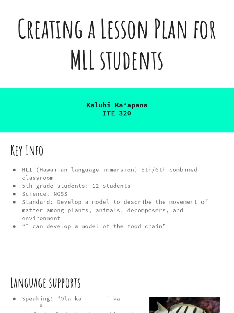 MLL Lesson Plan | PDF