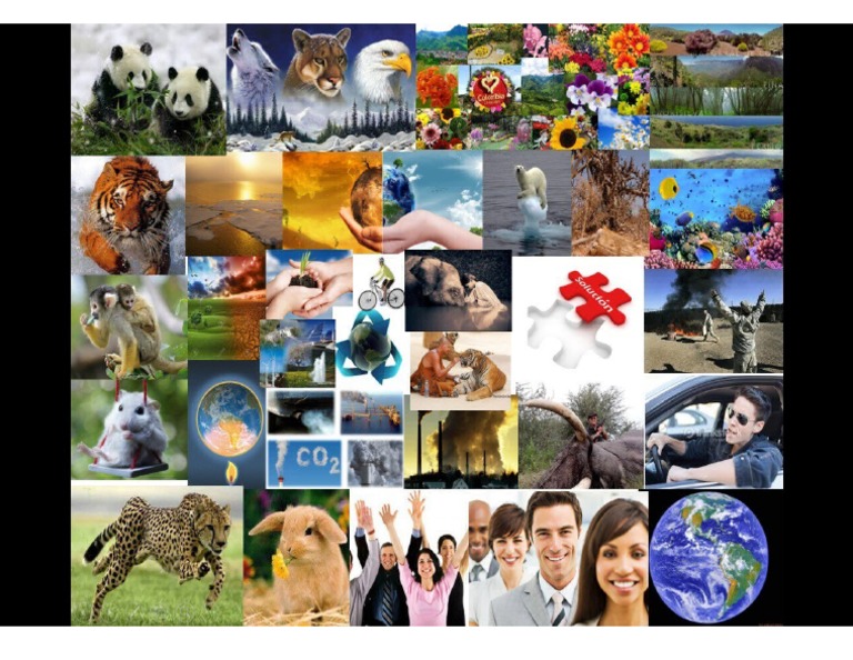 Collage Biologia | PDF