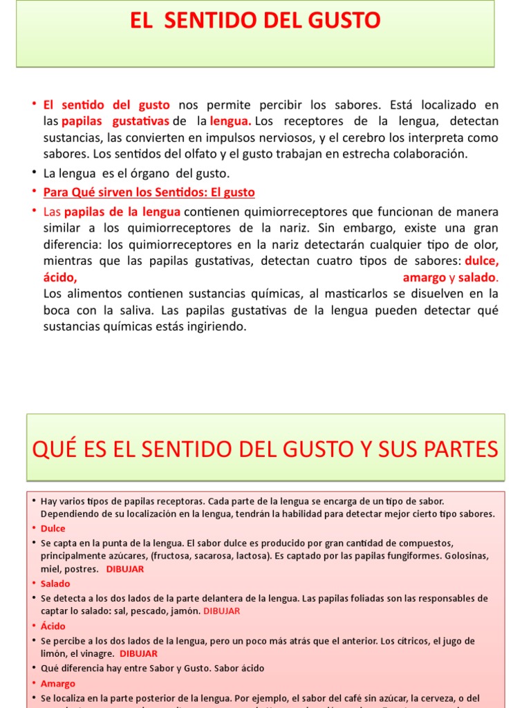 Sentido Del Gusto 4to | PDF | Gusto | Sabor