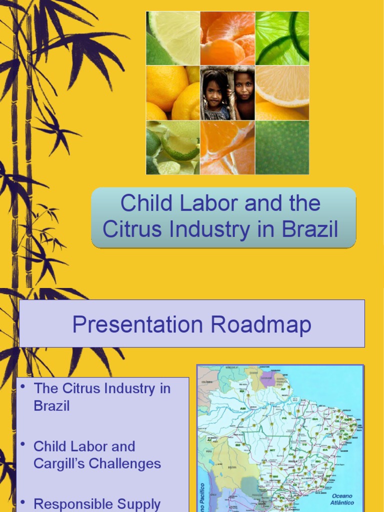 Child Labor Citrus Industry | PDF | Economies | Child Labour