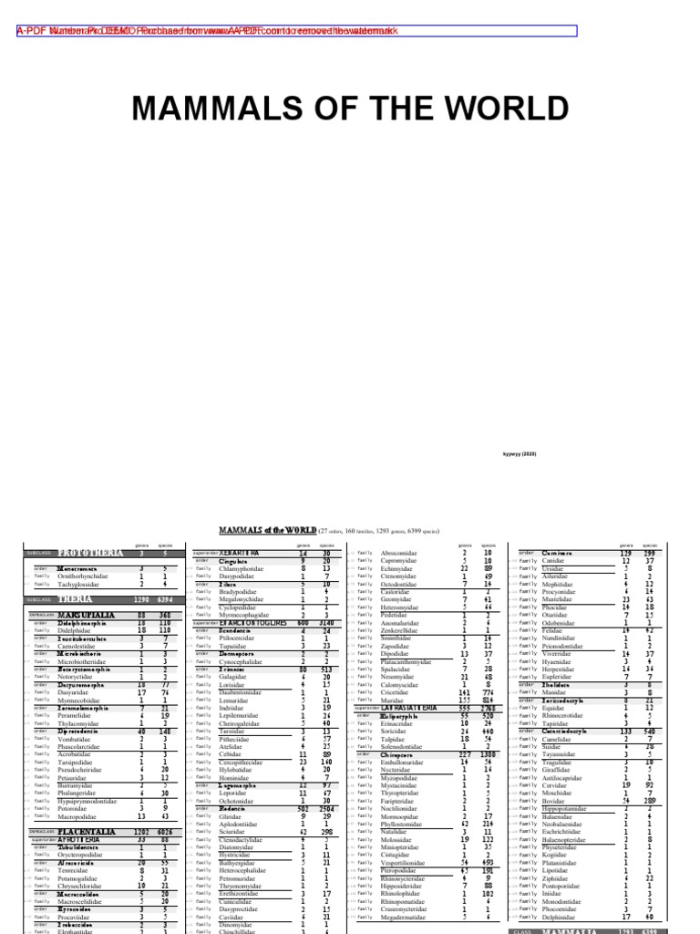 Mammals of The World (Mammal Orders, Families, Scientific and Common ...