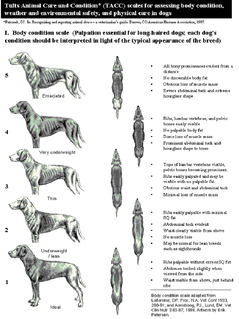 Dog Hardiness Chart | PDF